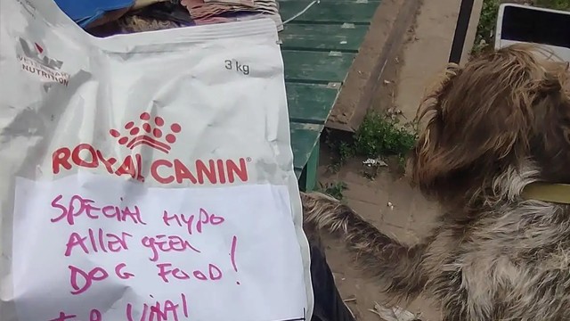 Thank you all for your support! Layma received 3 kg of special ...