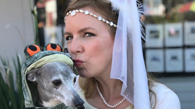 Anniversary of our organization - Transform A Street Dog