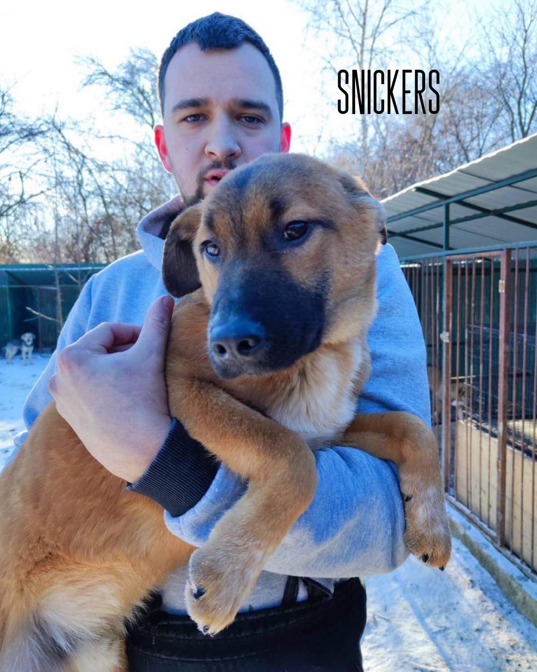 Cute puppies for those who want to adopt a dog from Ukraine.