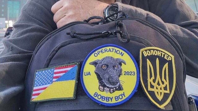 8 Dogs Rescued from Ukraine Embark on Journey to the USA