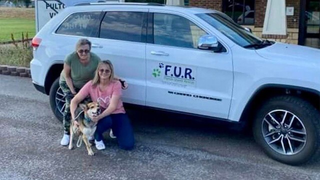 Barsik’s Incredible Journey to His New Home in the USA!