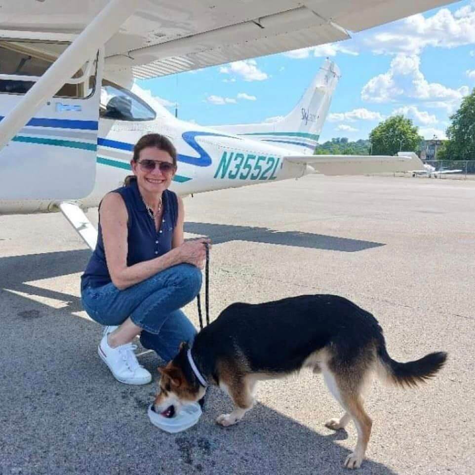 Barsik’s Incredible Journey to His New Home in the USA!