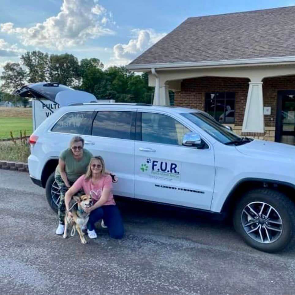 Barsik’s Incredible Journey to His New Home in the USA!