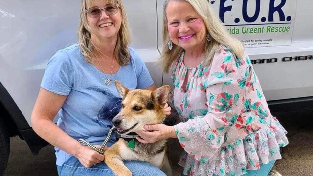 Barsik: A Journey from Ukraine’s War Zone to Arkansas