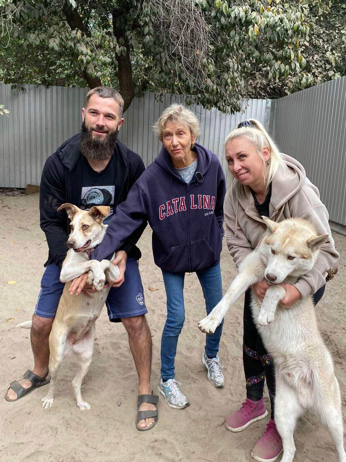 Journey to Forever: Ukrainian Dogs Find Homes in Europe