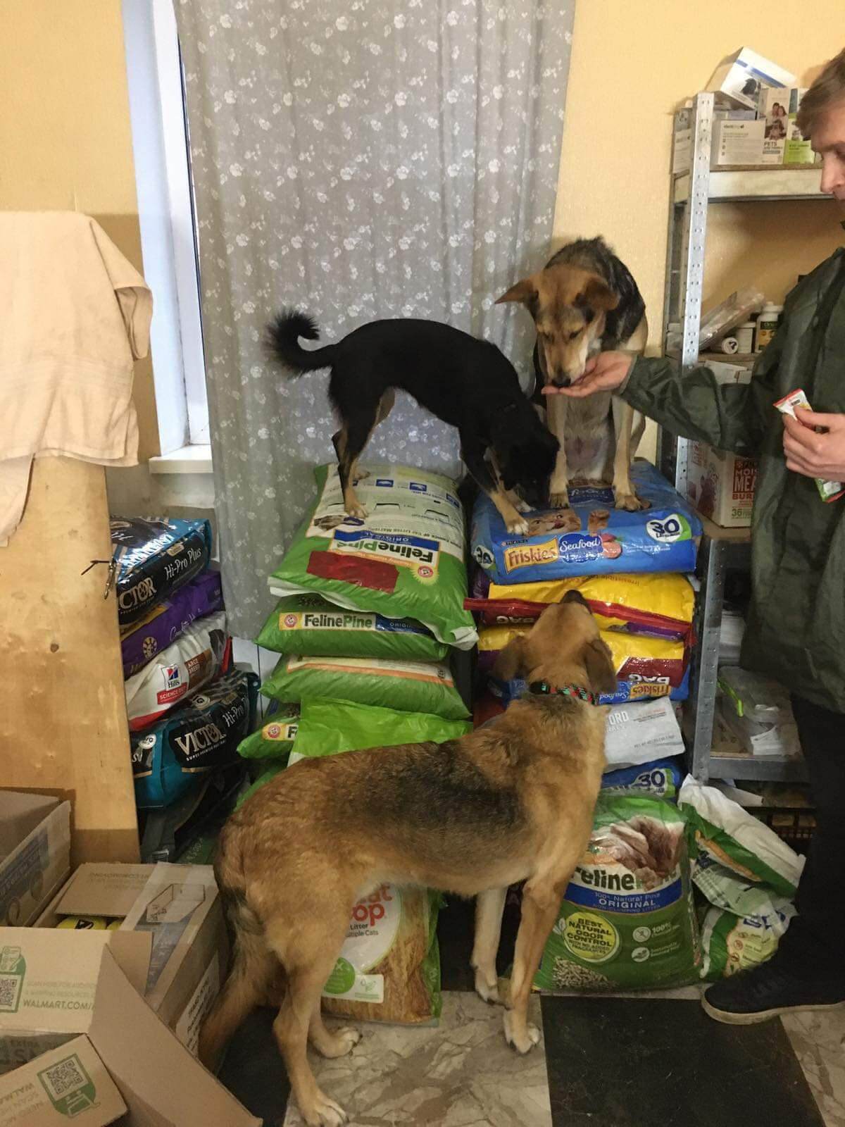 Sochi Dogs & Guinness Dunn Foundation’s 2,000lb Donation!