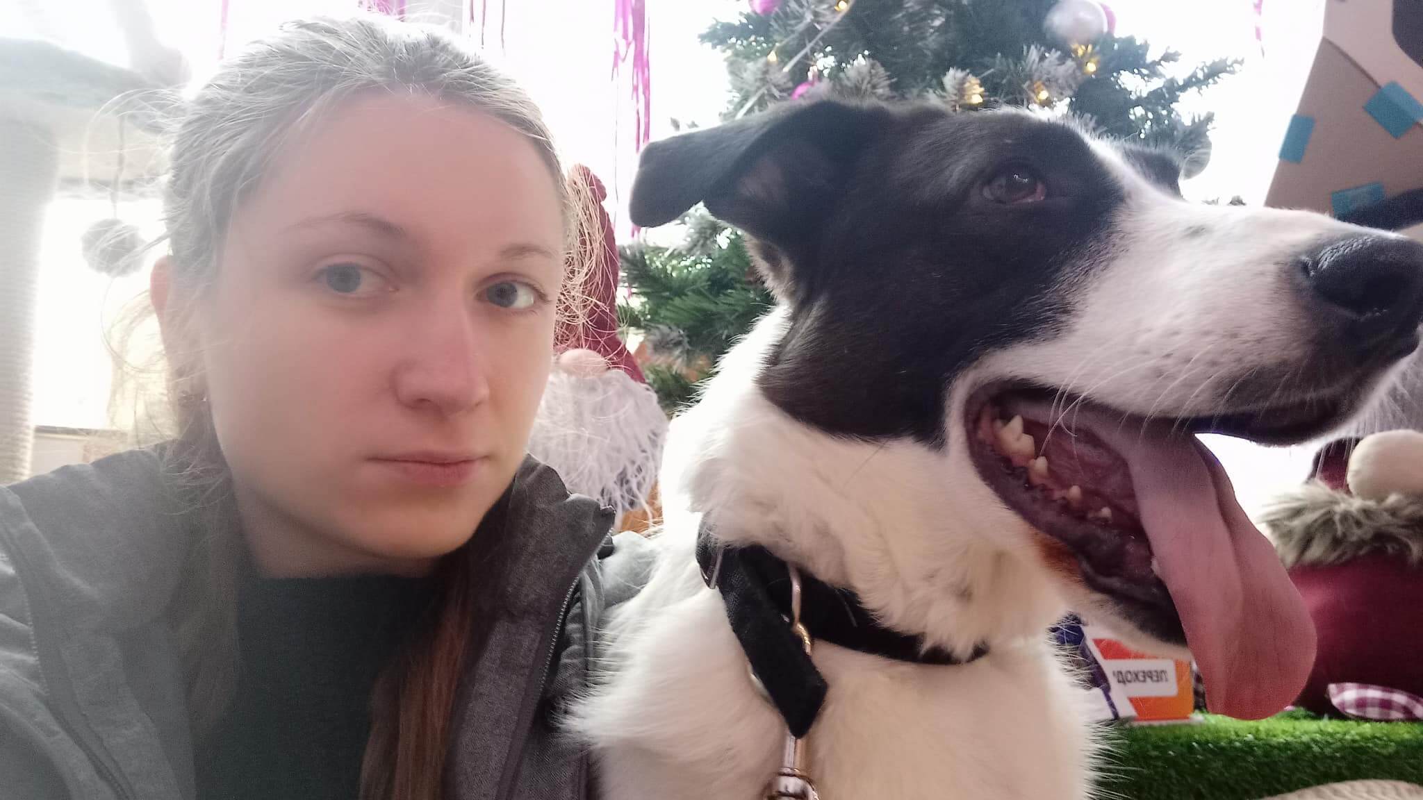 Furry Holiday Miracles: 5 Dogs Find Forever Homes!