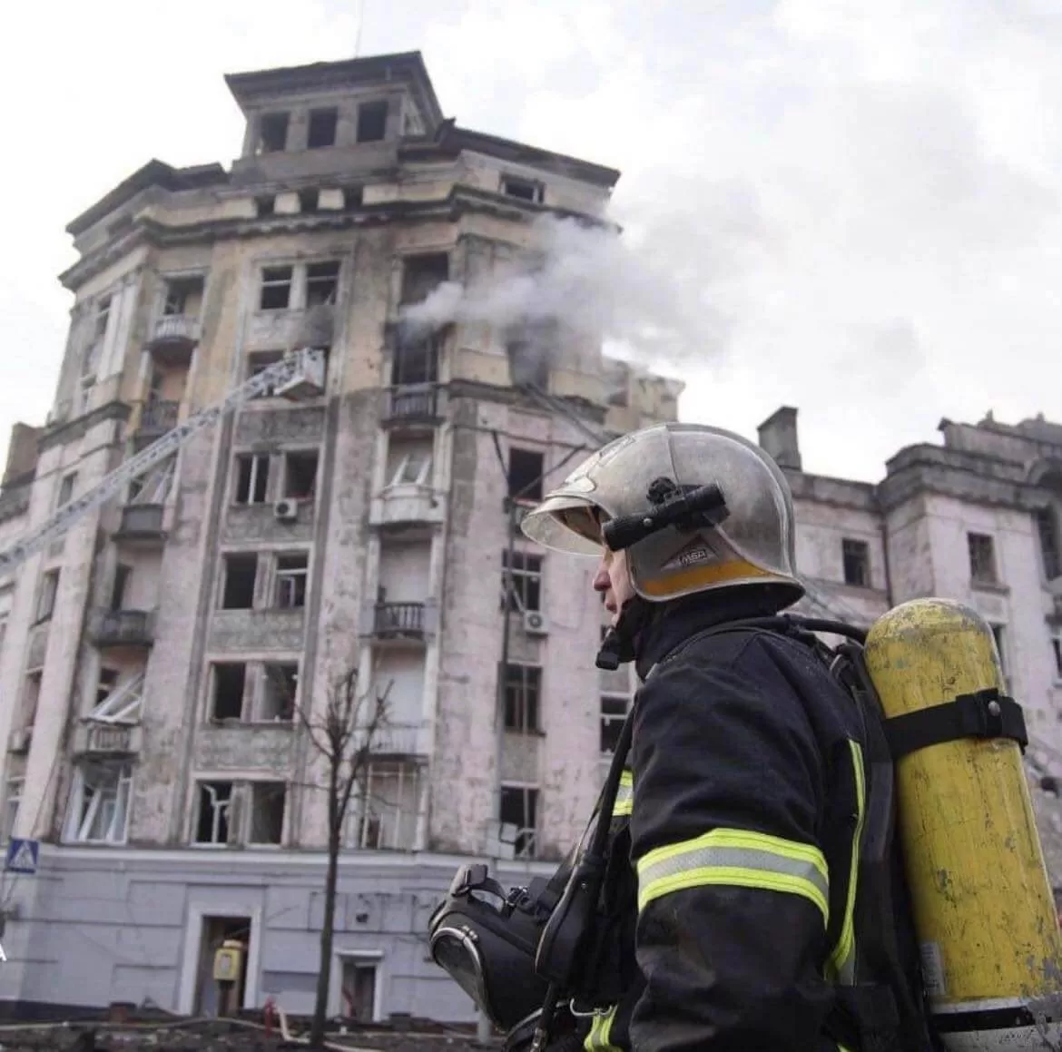 Kyiv Under Fire: Canine Companions Face Trauma