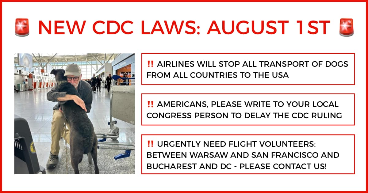 Urgent: Help Needed to Delay New CDC Dog Import Ban!